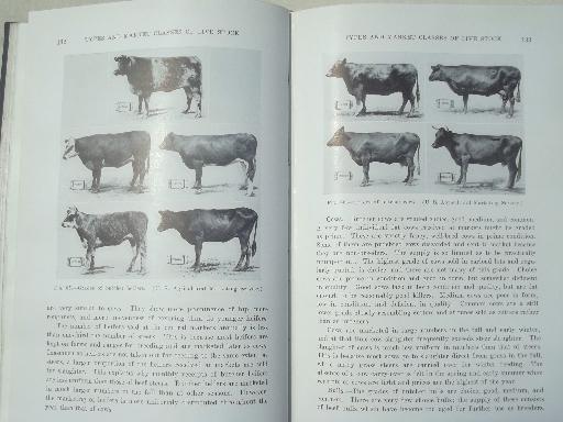 1940s vintage agriculture text book, types of livestock farm handbook